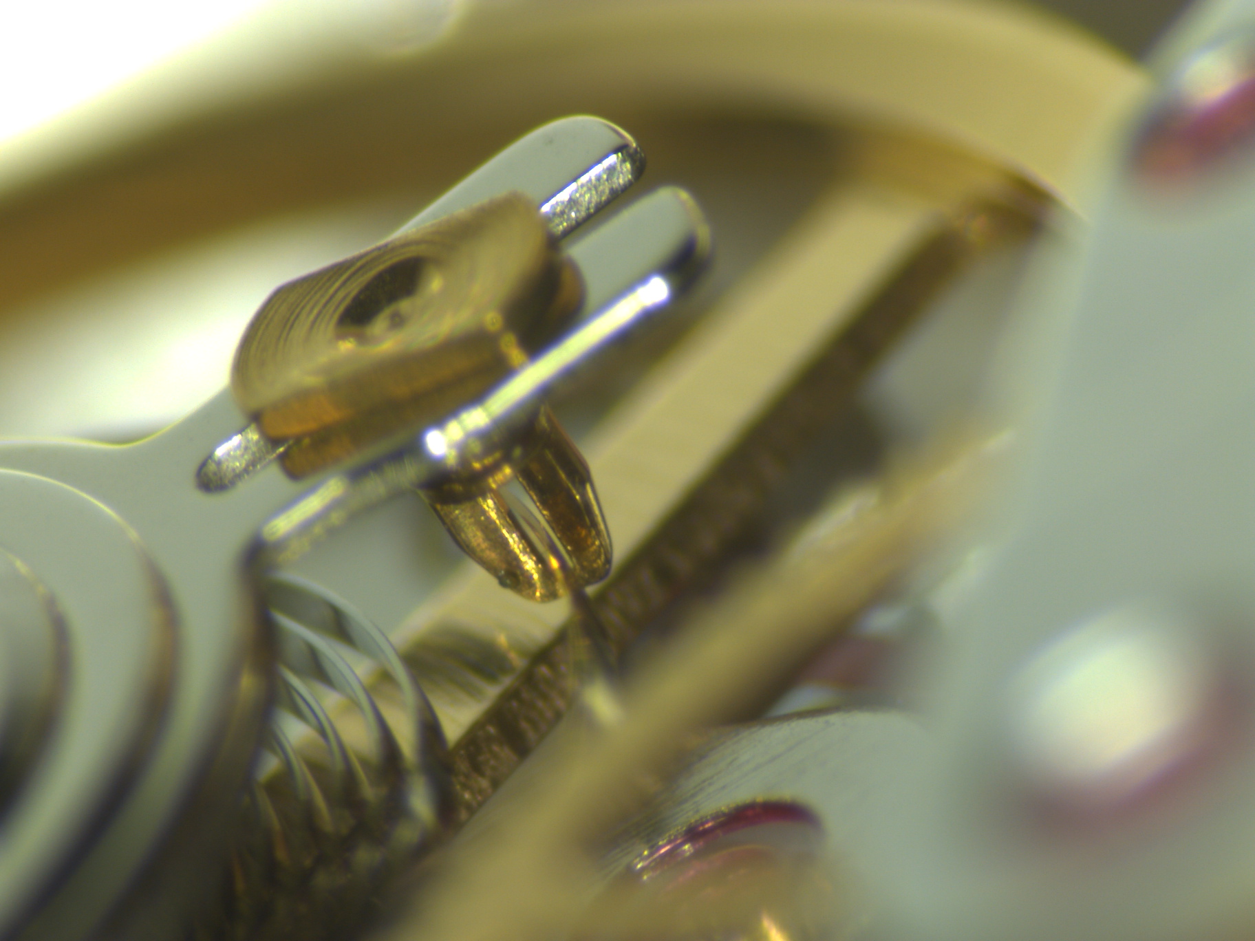 Hairsprings - American Watchmakers - Clockmakers Institute